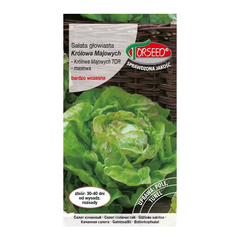 Sałata głowiasta masłowa (do uprawy w tunelach i w polu) Królowa Majowych 2g